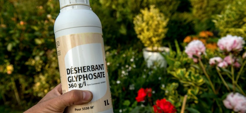 Kimyasal tarım ilaçlarında yeniden hortlayan bir kabus: Glifosat ...