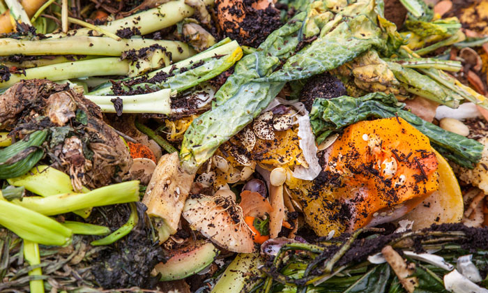 food-waste-header – Yeşilist | Herkes için yeşil
